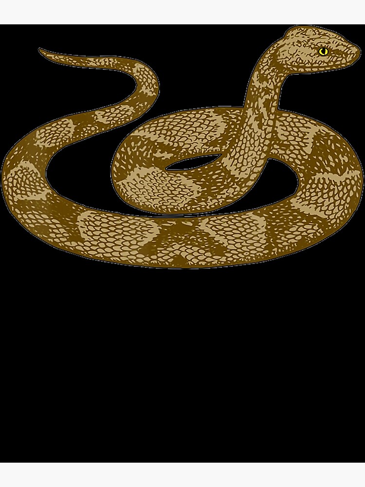 "Copperhead Snake" Poster by AsuRyzaev | Redbubble