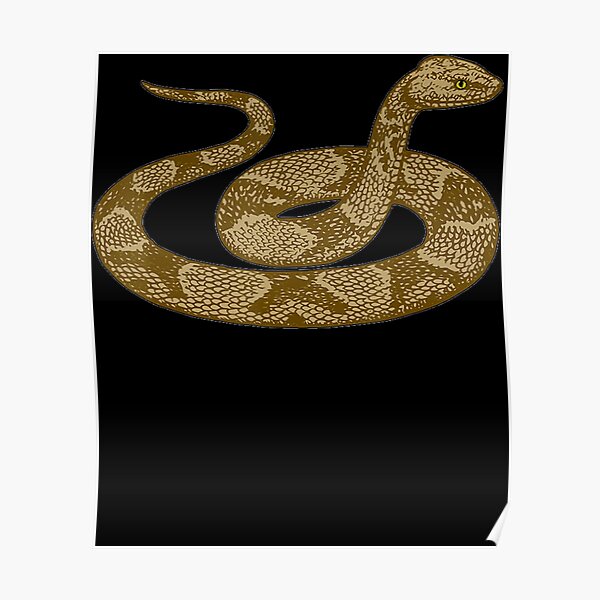 "Copperhead Snake" Poster by AsuRyzaev | Redbubble