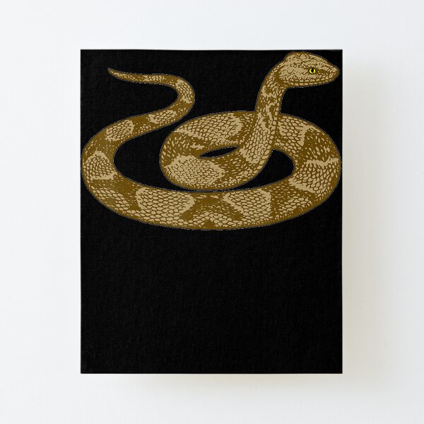 Copperhead Mounted Prints | Redbubble