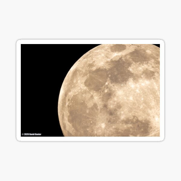 "Pink Moon" Sticker for Sale by BRP-SHOP | Redbubble