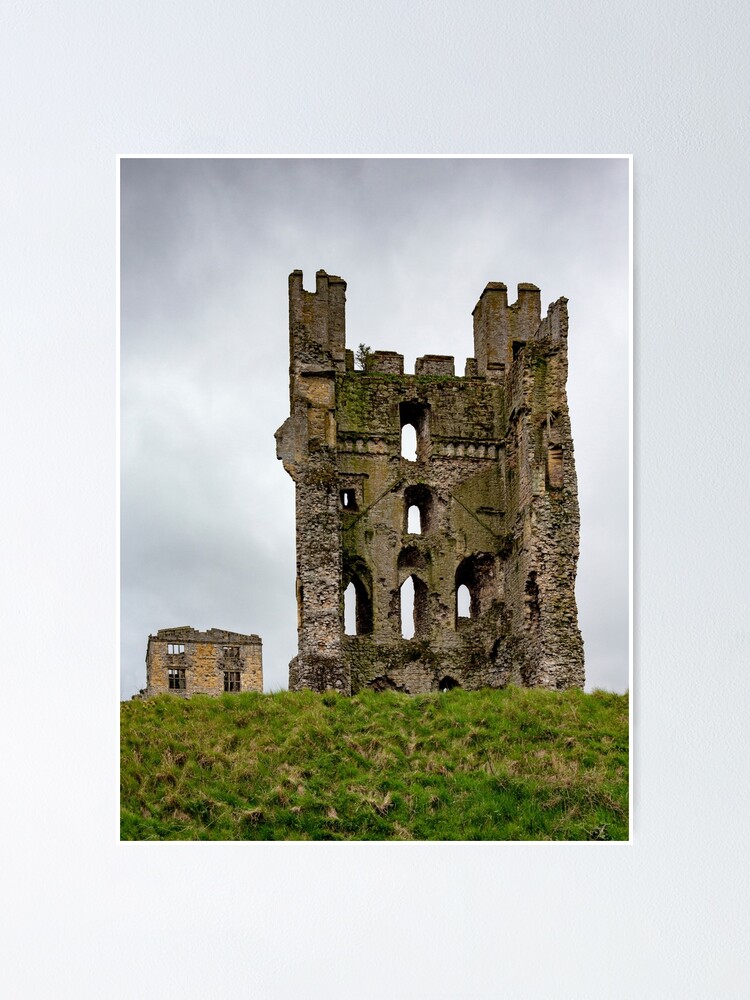 "Helmsley" Poster for Sale by jasminewang | Redbubble