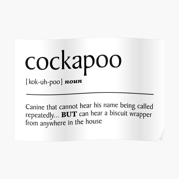 Cockapoo Posters | Redbubble