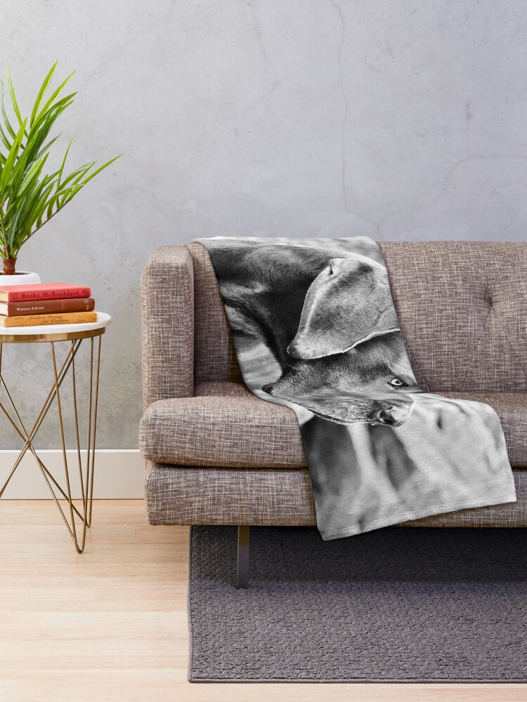 "Blue Black Great Dane " Throw Blanket for Sale by Slinky-Reebs | Redbubble