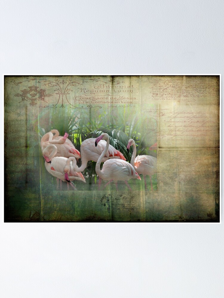 "Trio of Flamingos Stroll through Tropical Foliage" Poster for Sale by ...
