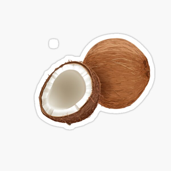 "Coconut" Sticker by Jannisdesign | Redbubble