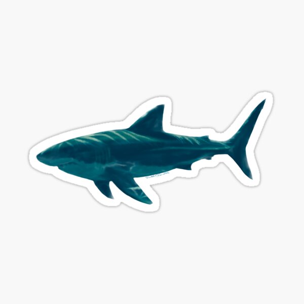 "Great White" Sticker for Sale by dtipaints | Redbubble