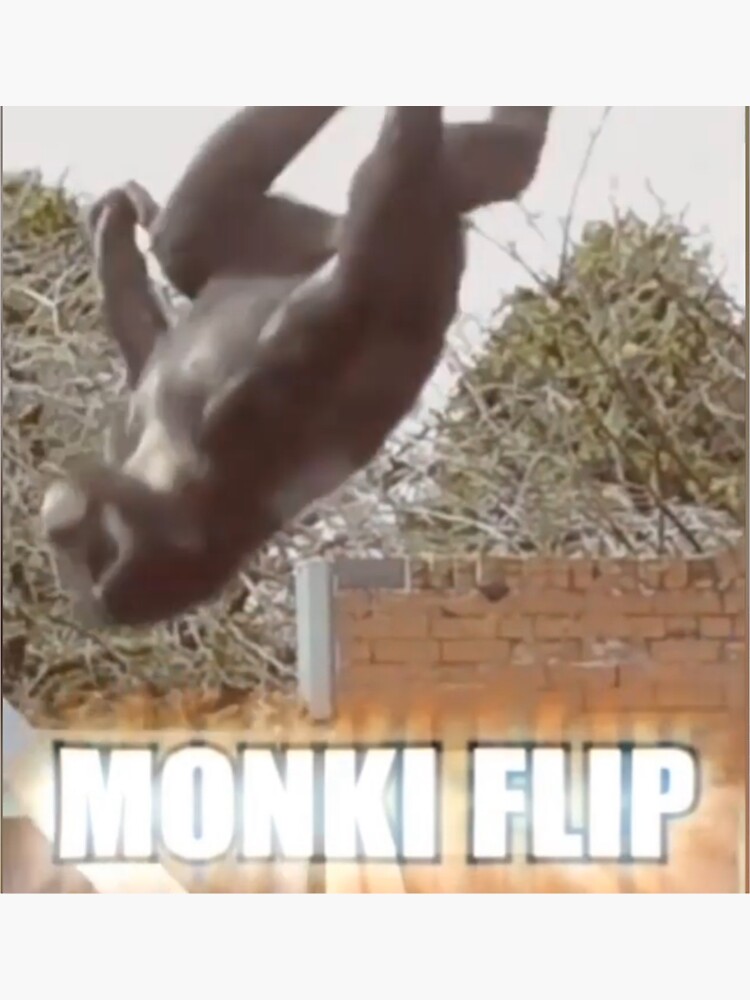 "monki flip dank meme" Sticker for Sale by Jeangel97 | Redbubble
