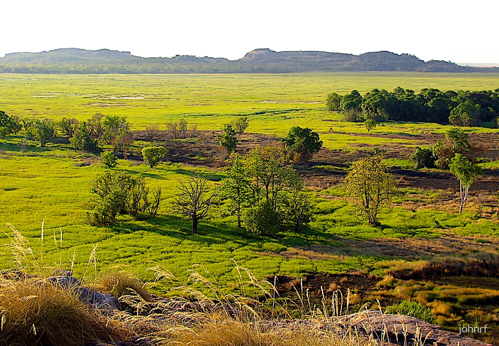 "Arnhem Land, Oenpelli swamp. Northern Territory , Australia.." by ...