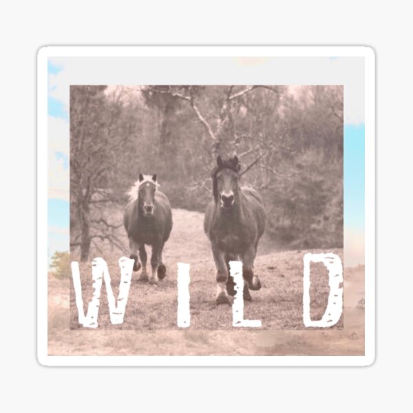 "Wild {Version 2}" Sticker for Sale by WAW2020 | Redbubble