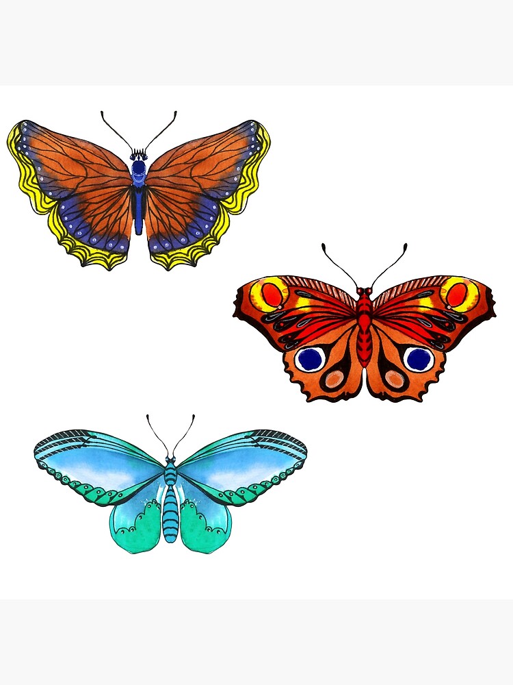 "butterfly pack " Poster by remonss | Redbubble