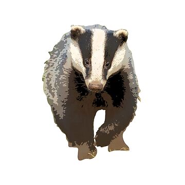"European Badger Color Print" Sticker for Sale by designsasstultd ...