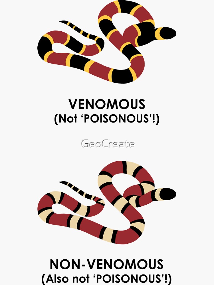 "Venomous not Poisonous - snakes" Sticker for Sale by GeoCreate | Redbubble