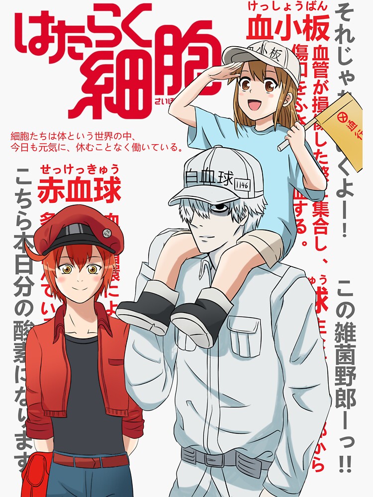 "CELLS AT WORK" Sticker for Sale by martenmoref | Redbubble