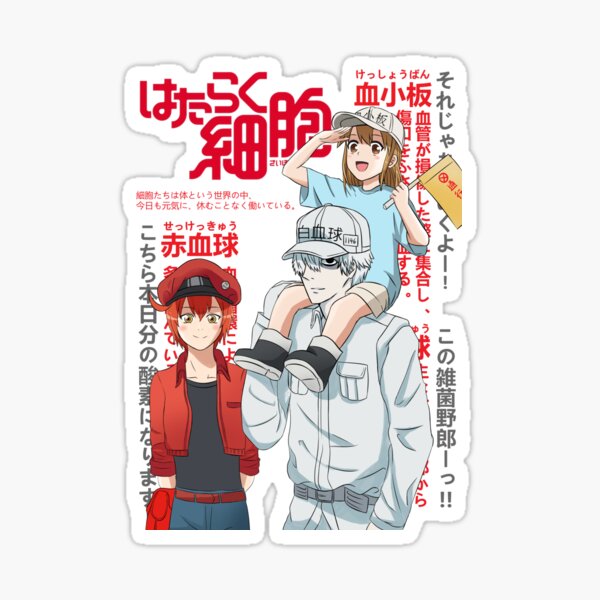 "CELLS AT WORK" Sticker for Sale by martenmoref | Redbubble