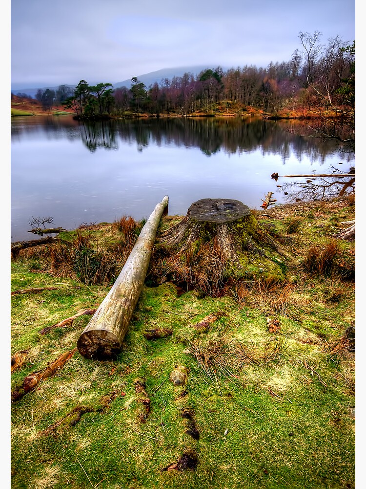 "Tarn Hows, Lake District" Art Print for Sale by StephenJSmith | Redbubble