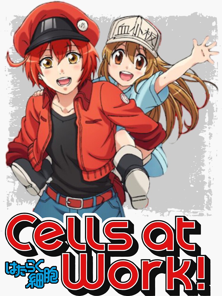 "CELLS AT WORK" Sticker for Sale by martenmoref | Redbubble
