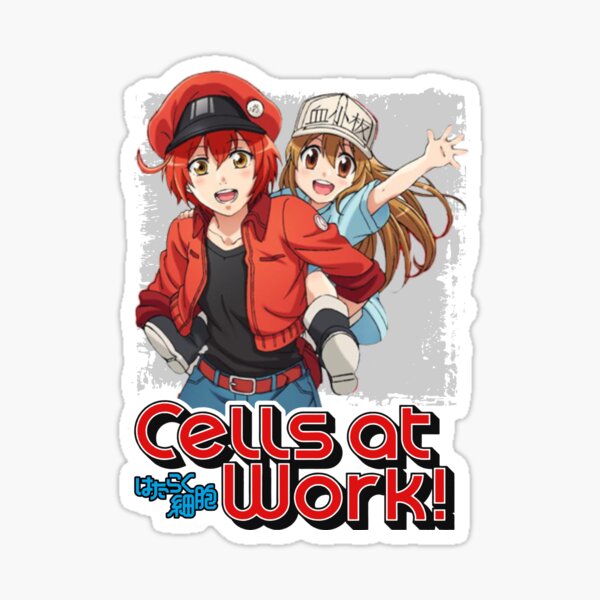 "CELLS AT WORK" Sticker for Sale by martenmoref | Redbubble