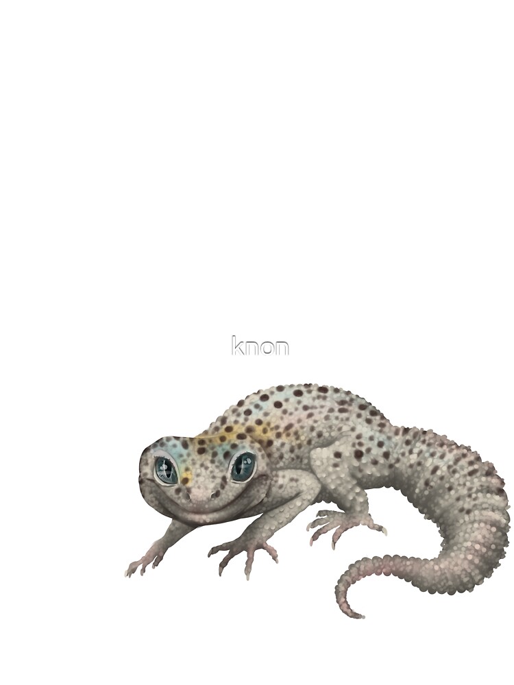 "Galaxy Morph Leopard Gecko" Art Print by knon | Redbubble