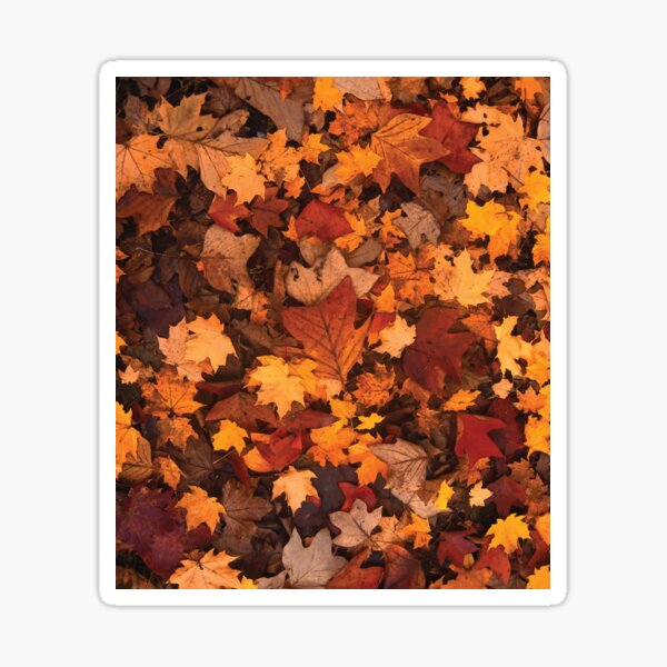 "Shades of Brown Fall Leaves" Sticker for Sale by PlanetPrints | Redbubble