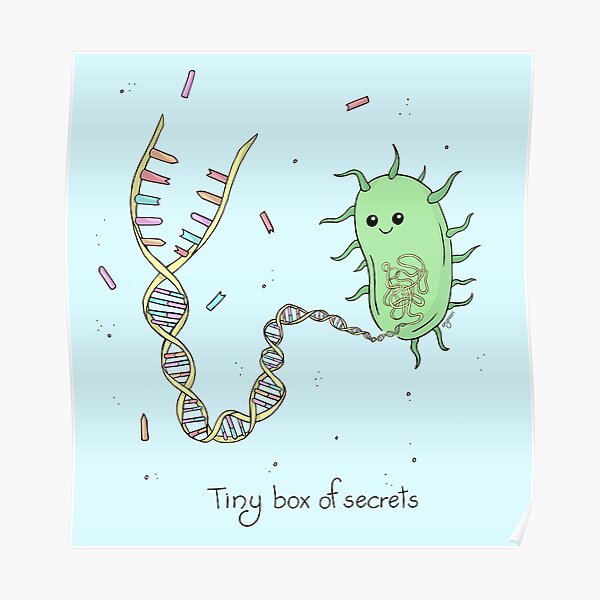 "Cute Bacteria and DNA" Poster for Sale by cutescience | Redbubble