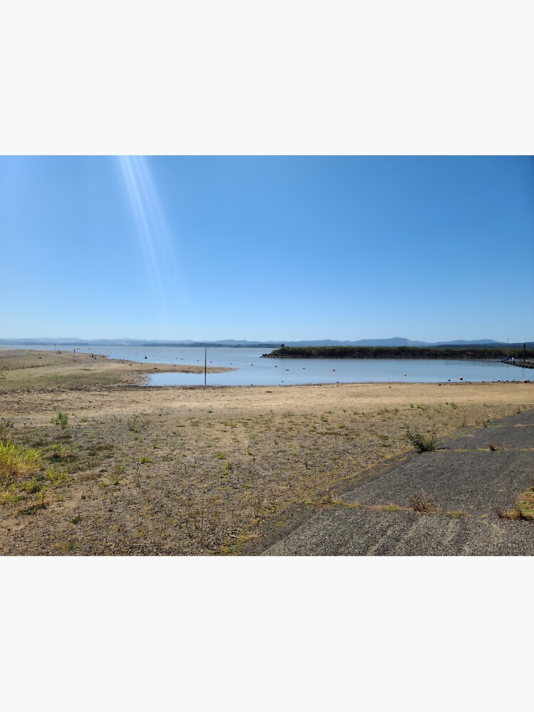 "Fern Ridge LAke bear Elmira Oregon close to Eugene" Sticker by ...