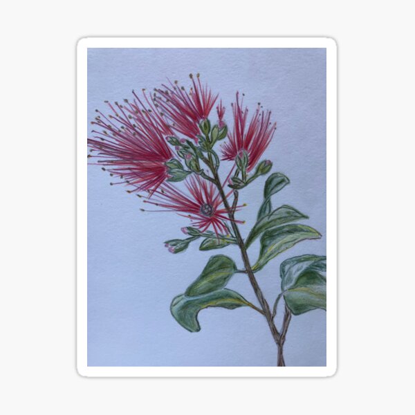 Ohia Lehua Stickers | Redbubble