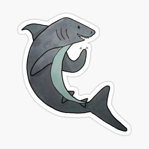 "Friendly Shark" Sticker for Sale by ashty21 | Redbubble