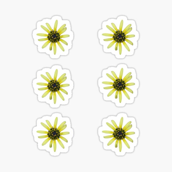 "Yellow Daisy" Sticker for Sale by STHogan | Redbubble