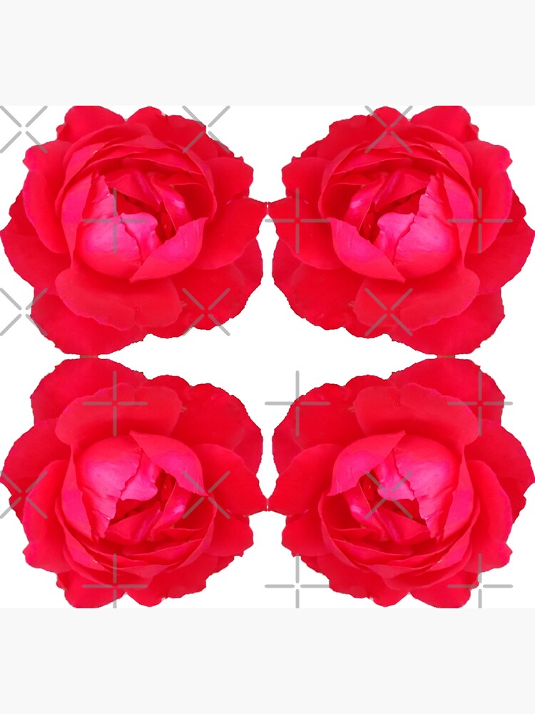 "Hope Rose" Canvas Print for Sale by rich-jam | Redbubble