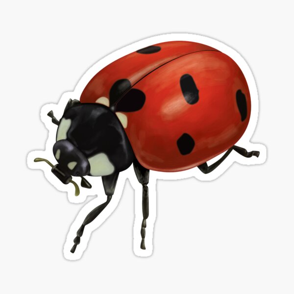 "Ladybird" Sticker for Sale by QuirkyTales | Redbubble