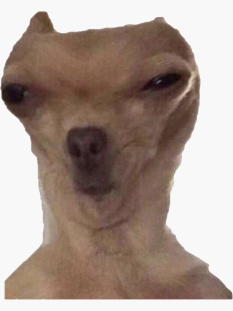 "Dog Meme" Sticker for Sale by peachysage | Redbubble