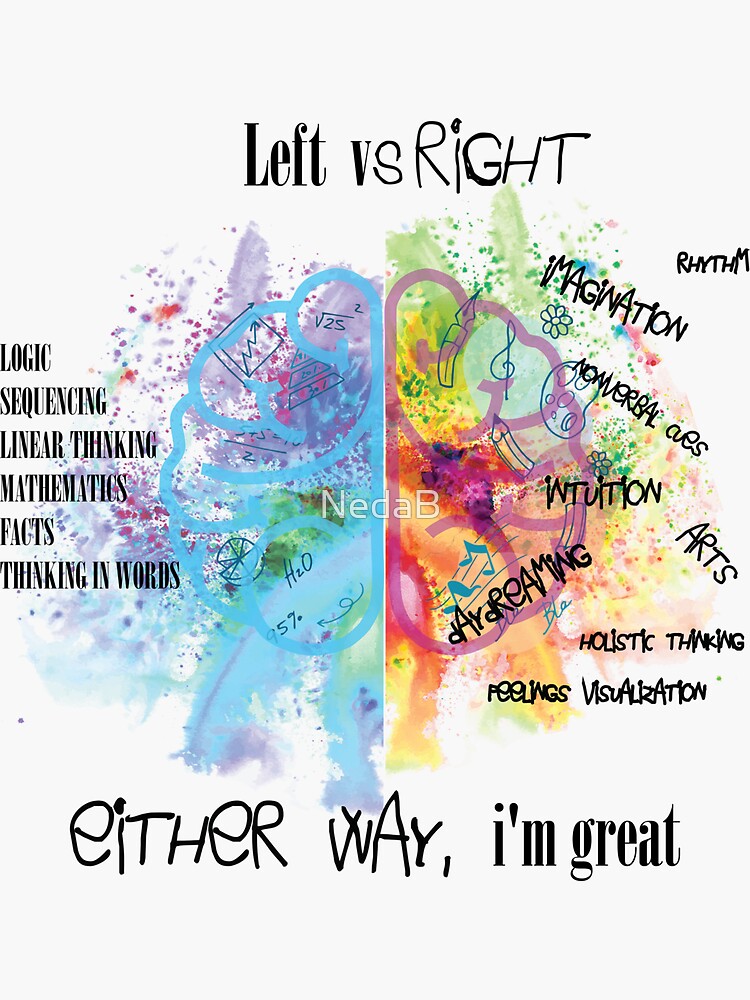 "Brain function" Sticker for Sale by NedaB | Redbubble