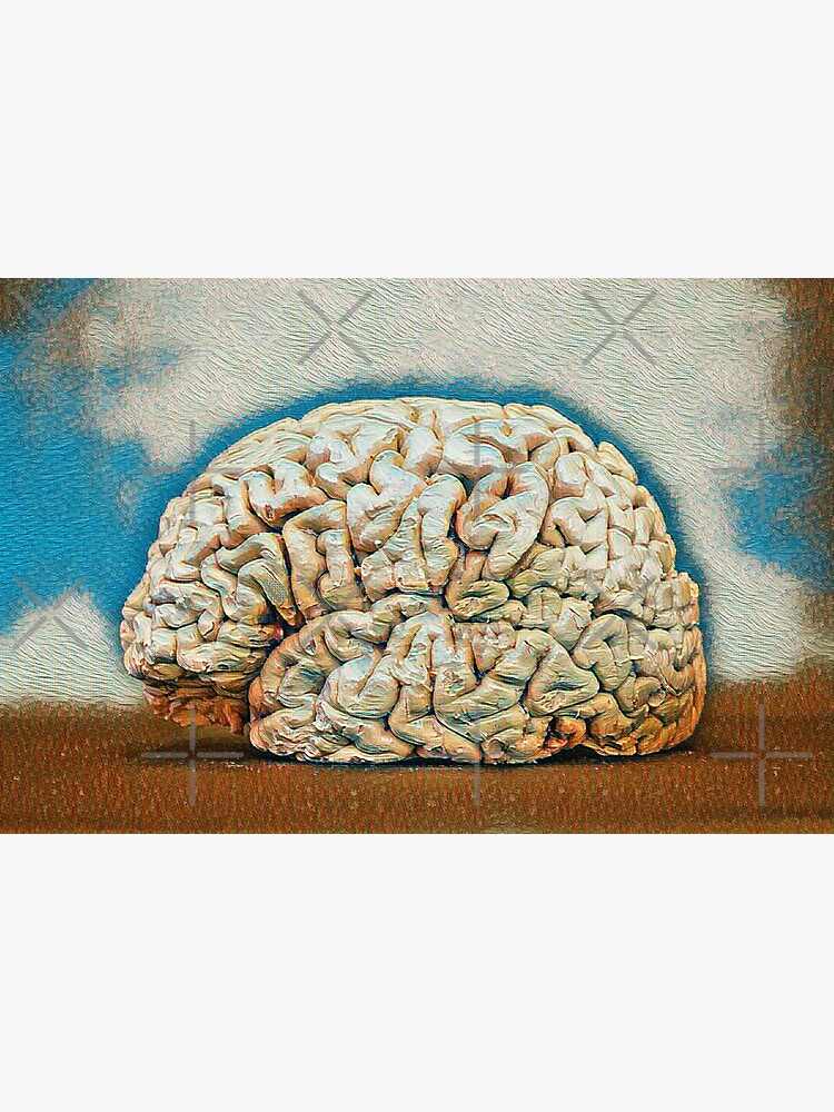 "Human Brain - Roman Artwork" Sticker for Sale by uberanatomy | Redbubble