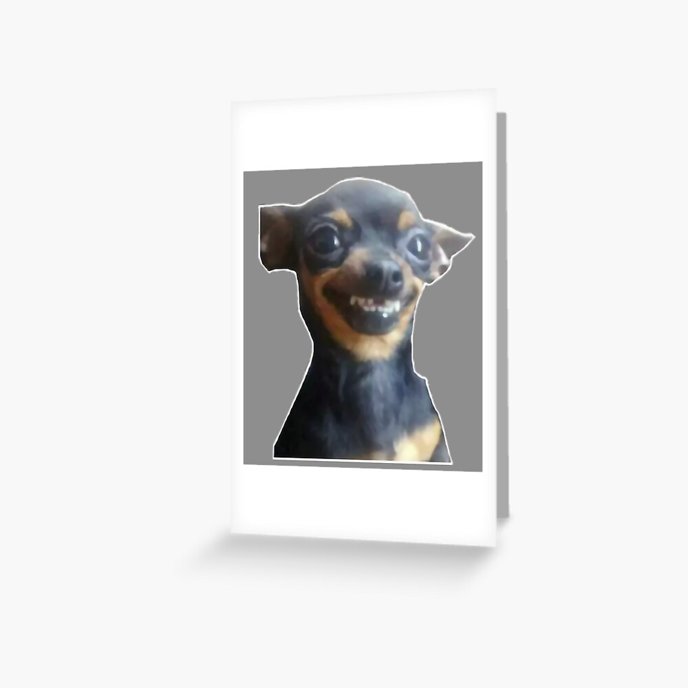 "Smiling Dog Meme" Greeting Card for Sale by danimora | Redbubble