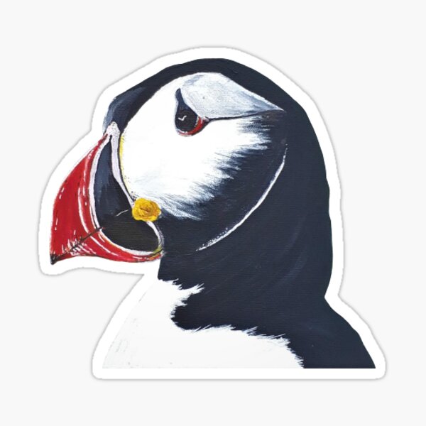 "Funky Pink Puffin - Modern, Bright, Colour Pop design from the Seabird ...