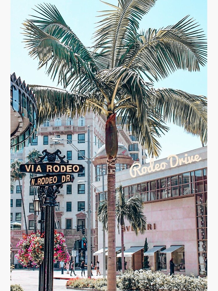 "RODEO DRIVE" Art Board Print for Sale by christikimx | Redbubble