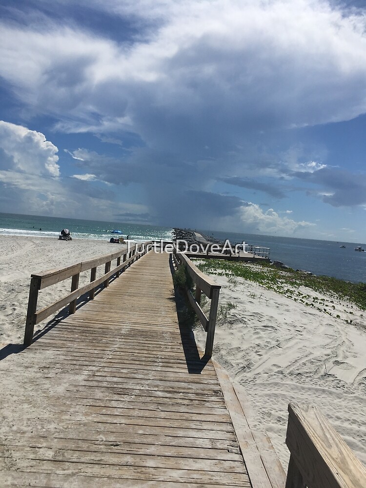 "Ponce Inlet Beach - Florida" Poster for Sale by TurtleDoveArt | Redbubble
