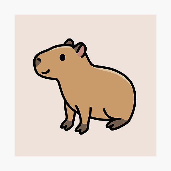"Capybara" Photographic Print for Sale by littlemandyart | Redbubble