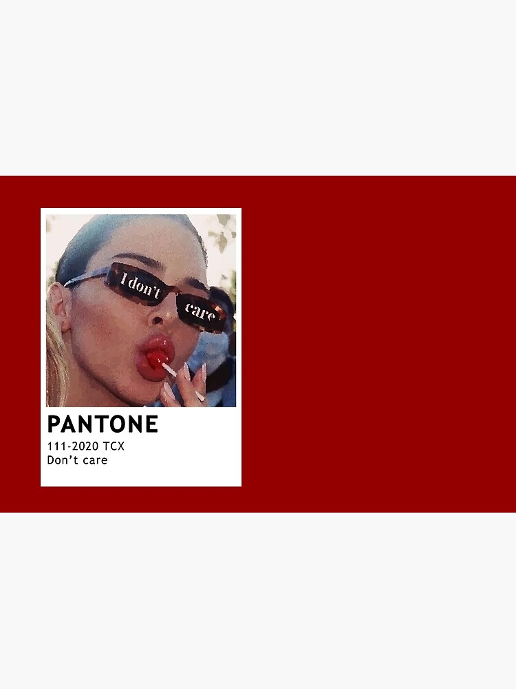 "Pantone Kendall Don't Care" Laptop Skin for Sale by Nadine-Suciu ...
