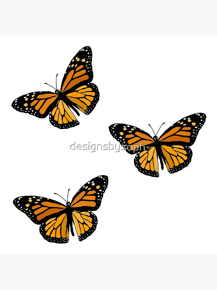 "orange butterflies sticker pack" Poster by designsbysoph- | Redbubble