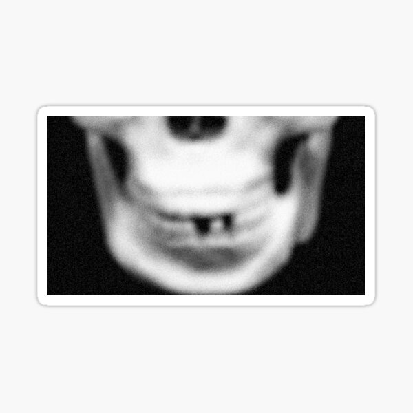 "Skull face" Sticker for Sale by InsaneWraith | Redbubble