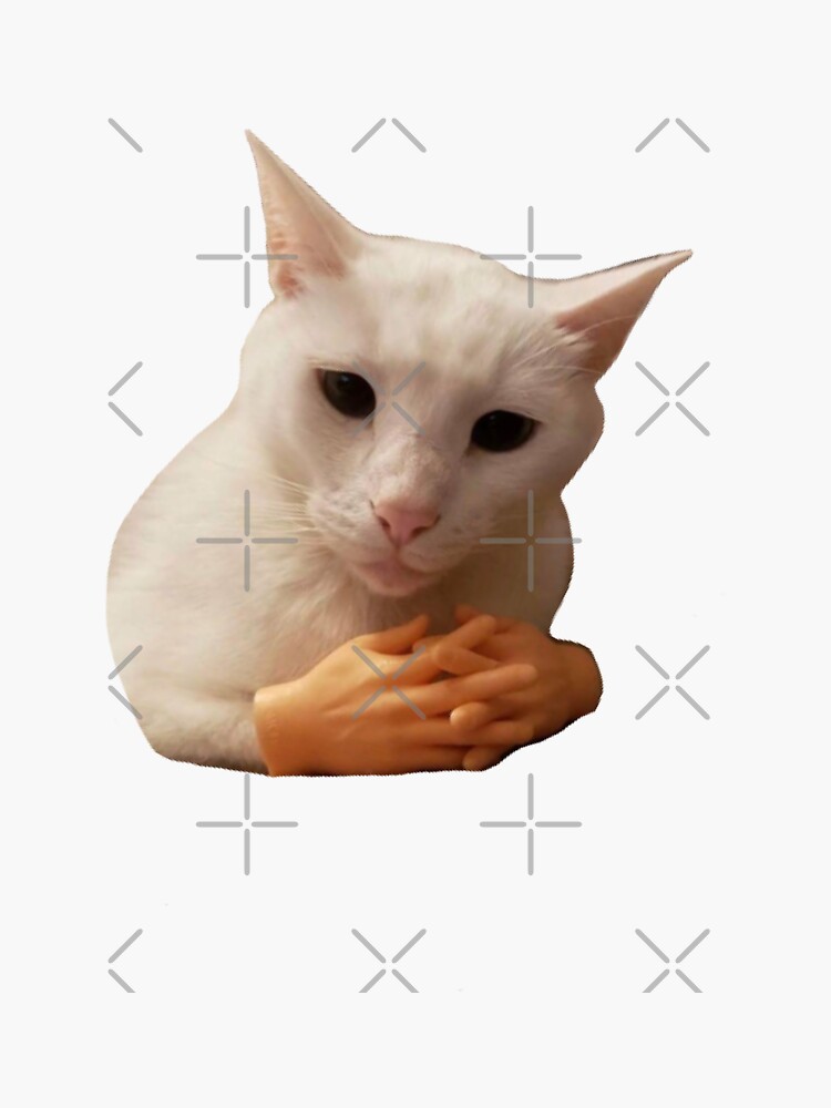 "Cat with hands" Sticker for Sale by itsbellabell | Redbubble