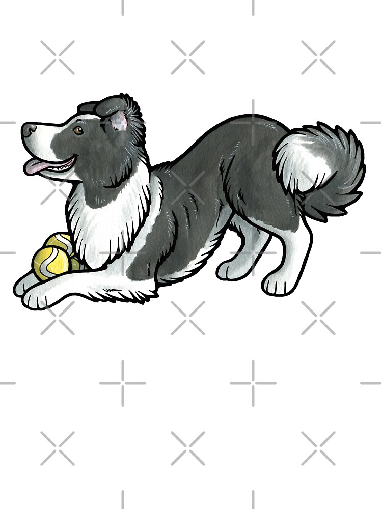 Border Collie Drawing Easy For Kids
