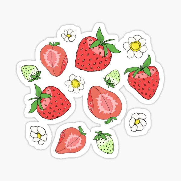 "strawberries" Sticker by adasart | Redbubble