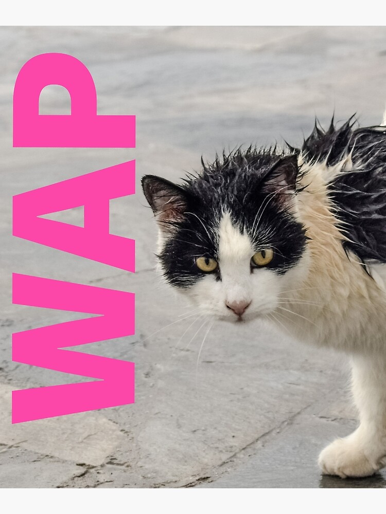 "WAP - Cardi B & Megan Thee Stallion Meme" Photographic Print by ...