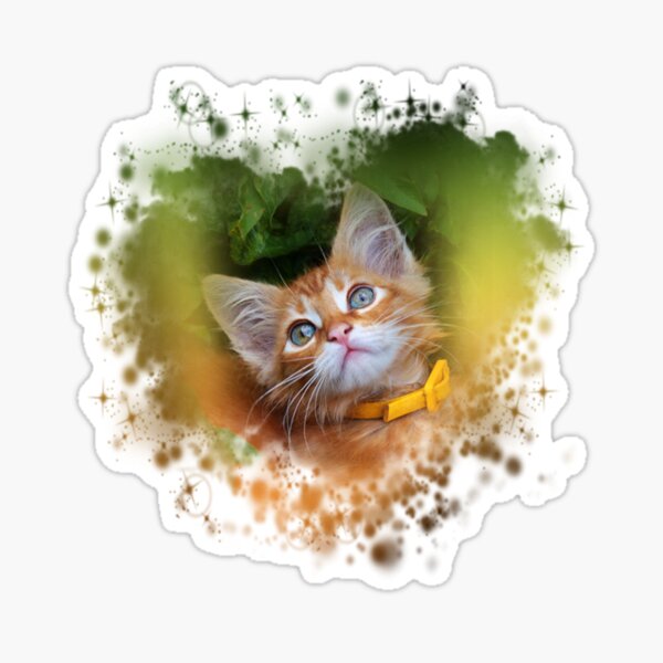 "Cat Germany Kitten Watercolor Painting" Sticker by KentOsmundsen ...