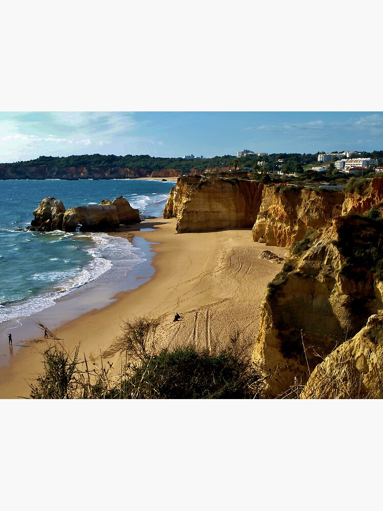 "Very Beachy." Poster for Sale by Janone | Redbubble