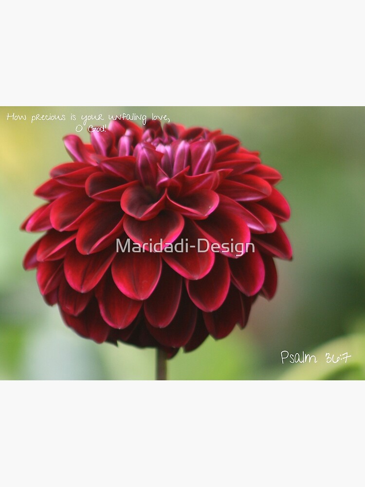 "Dahlia with Bible Verse" Poster by Maridadi-Design | Redbubble