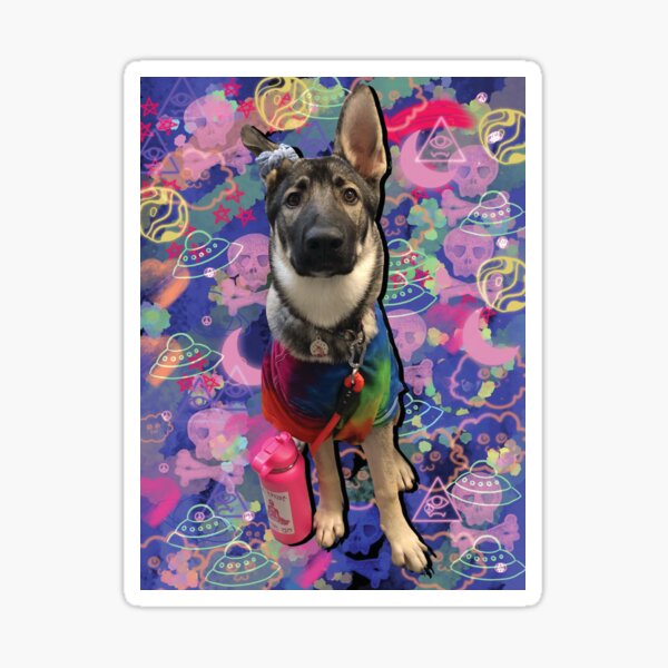 "VSCO Puppy" Sticker for Sale by MeaganBragwell | Redbubble