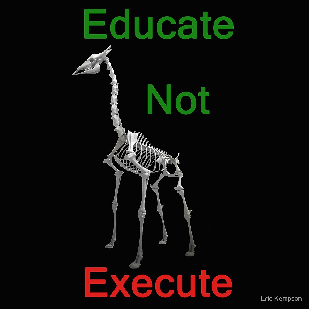Educate Not Executet Shirts And Hoodies Ipad And Iphone Cases By Eric Kempson Redbubble 
